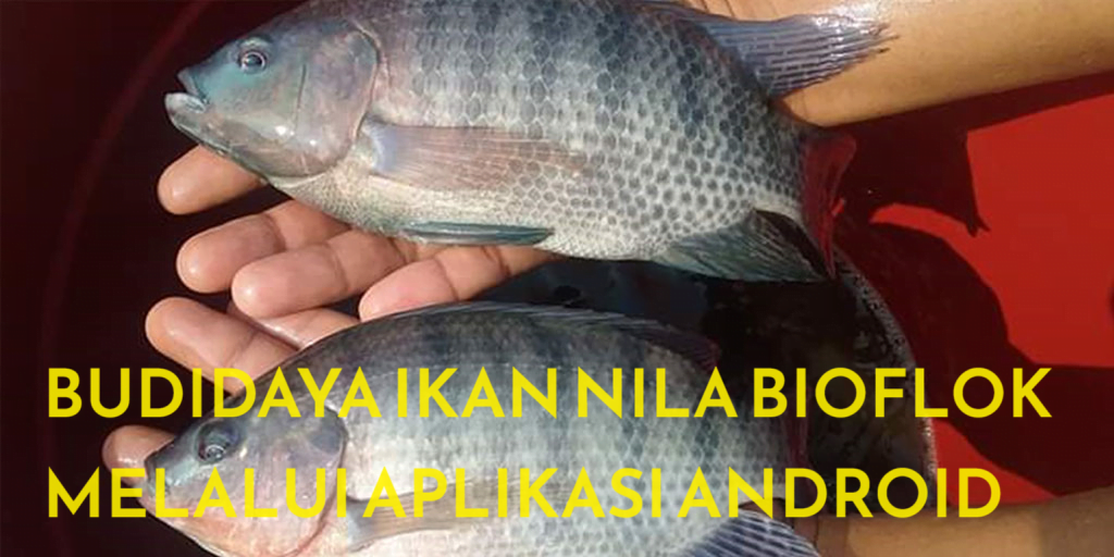 Belajar budidaya ikan nila sistem bioflok melalui aplikasi android ...
